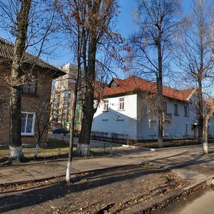 Maksyma Berlinskoho Street, No:15, Kiev: Fotoğraflar