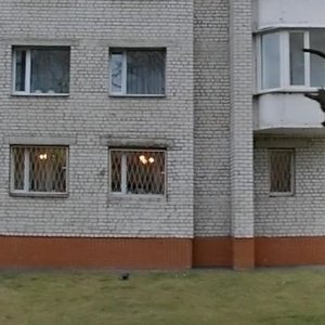 Mykhaila Kotelnykova Street, No:11, Kiev: Fotoğraflar