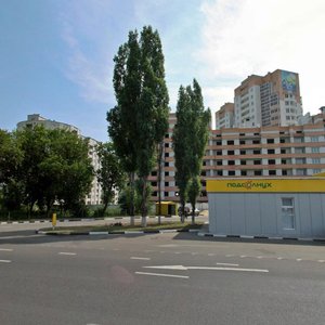 Moskovskiy Avenue, No:84, Voronej: Fotoğraflar