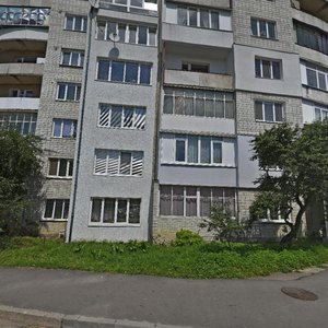 Vulytsia Danylyshynykh, No:5, Truskavets: Fotoğraflar