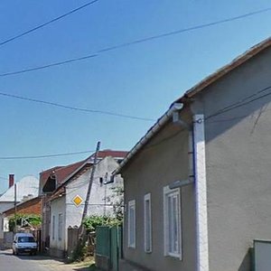 Muzykalna vulytsia, No:16, Mukaçeve: Fotoğraflar