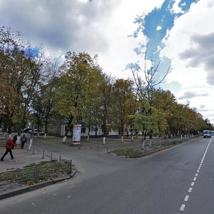 Sviatoshynska vulytsia, No:42, Vishnevoye: Fotoğraflar