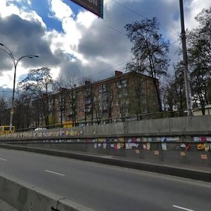 Oleny Telihy Street, No:15, Kiev: Fotoğraflar