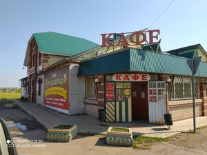 Almetyevskoye shosse, No:44, Tataristan: Fotoğraflar