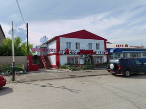 Ulitsa Sovetov, No:38, Omskaya oblastı: Fotoğraflar