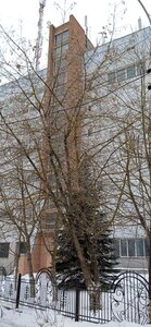 Pochtovaya Street, No:26/4, Solneçnogorsk: Fotoğraflar