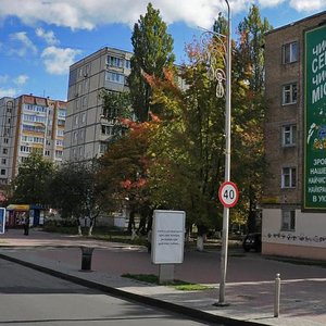 Yevropeiska vulytsia, No:22, Vishnevoye: Fotoğraflar