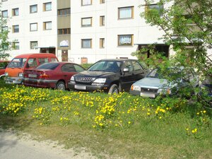 Ulitsa Kalevala, No:2, Kostomucsha: Fotoğraflar