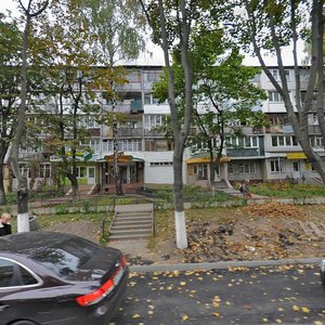 Ivana Mazepy Avenue, No:1, Vishgorod: Fotoğraflar