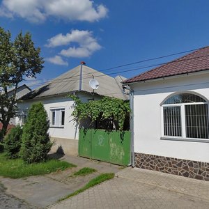 Vulytsia Ivana Silvaia, No:37, Mukaçeve: Fotoğraflar