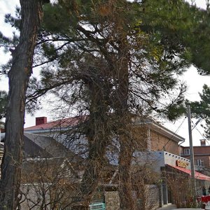 Ulitsa Kunikova, No:13, Gelencik: Fotoğraflar