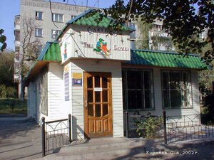 Ulitsa Sakko i Vantsetti, No:41, Vladimir: Fotoğraflar