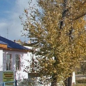 Prospekt Krasnykh Partizan, No:40, Usolye‑Sibirskoye: Fotoğraflar