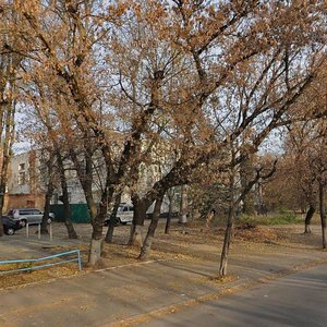 Pershotravneva vulytsia, No:6, Belaya Tserkov: Fotoğraflar