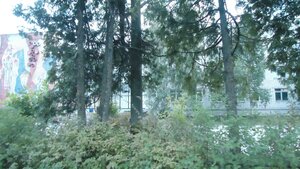 Bolshaya Sadovaya Street, No:17/31, Vishniy Volochek: Fotoğraflar