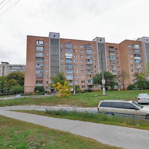 Dniprovska vulytsia, No:5, Vishgorod: Fotoğraflar