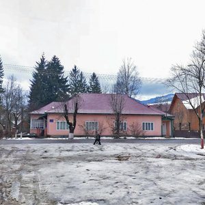Vulytsia Borkaniuka, No:7, Zakarpatska oblastı: Fotoğraflar