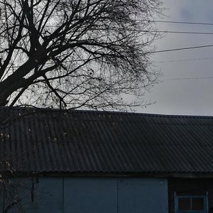 Ulitsa Pestova, No:11А, Pyatigorsk: Fotoğraflar
