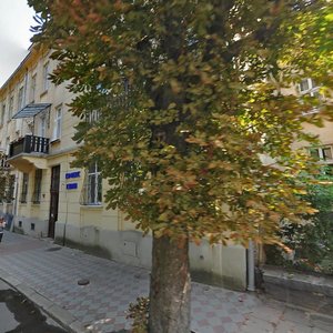 Vulytsia Ustyma Karmaliuka, No:7, Lviv: Fotoğraflar