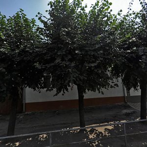 Storozhynetska vulytsia, No:13, Çernoviç: Fotoğraflar
