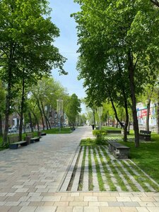Alma-Atinskaya Street, No:5, Samara: Fotoğraflar