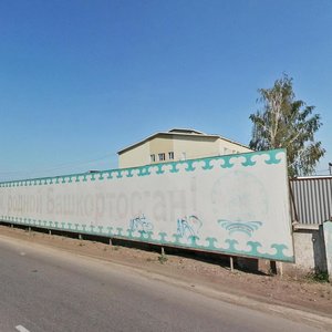 Tsentralnaya Street, No:19, Ufa: Fotoğraflar