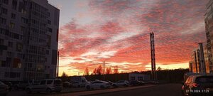 Vyborskaya ulitsa, No:10, Voronejskaya oblastı: Fotoğraflar