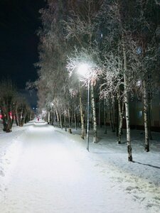 Mira Avenue, No:20, Surgut: Fotoğraflar