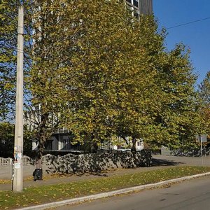 Vovchynetska vulytsia, No:227, Ivano‑Frankovsk: Fotoğraflar