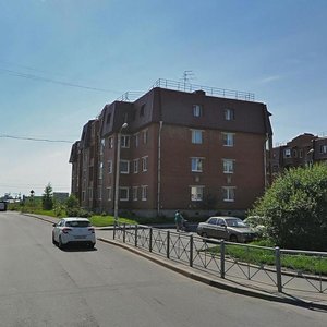 Sapyornaya Street, No:44к2, Puşkin: Fotoğraflar