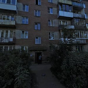 Ulitsa Boyarova, No:3, Tosno: Fotoğraflar