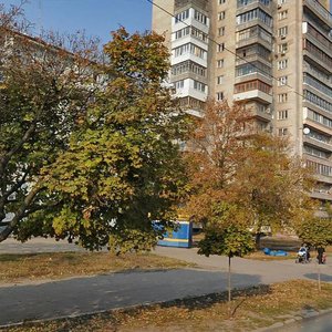 Vulytsia Paramonova, No:2/8, Zaporoje: Fotoğraflar