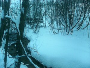 Solnechnaya Street, No:13, Novocheboksarsk: Fotoğraflar