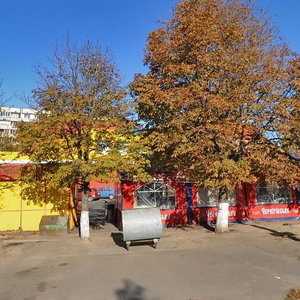 Hryhorovycha-Barskoho Street, No:1, Kiev: Fotoğraflar