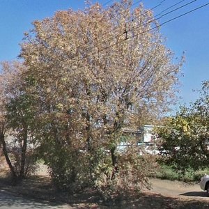 Ulitsa Rabochego Shtaba, No:78/7, Irkutsk: Fotoğraflar