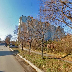 Fyodora Smirnova Street, No:5, Tula: Fotoğraflar