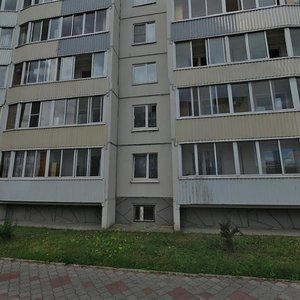 Ulitsa Izhorskogo Batalyona, No:16, Kolpino: Fotoğraflar