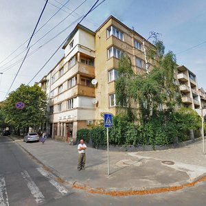 Snopkivska vulytsia, No:45, Lviv: Fotoğraflar