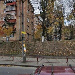 Oleksy Tykhoho Street, No:41, Kiev: Fotoğraflar