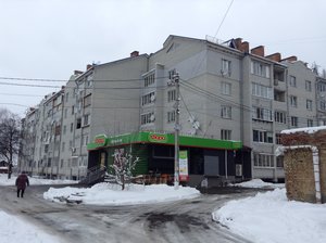 Botanichna vulytsia, No:19, Kiev Bölgesi: Fotoğraflar