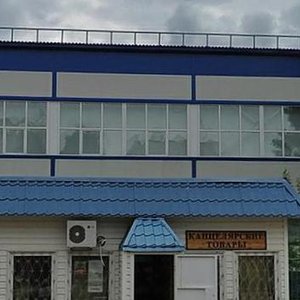 Ulitsa Z. Golitsynoy, No:24, Taldom: Fotoğraflar
