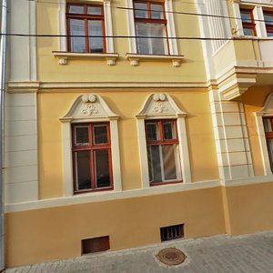 Shkilna vulytsia, No:21, Çernoviç: Fotoğraflar