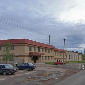 Nikolaya Vasilyeva Street, No:94, Pskov: Fotoğraflar