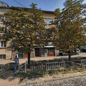 Lychakivska vulytsia, No:161, Lviv: Fotoğraflar
