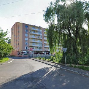 Vulytsia Vasylia Dokuchaieva, No:4А, Ujgorod: Fotoğraflar