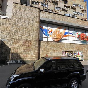 Olesia Honchara Street, No:96, Kiev: Fotoğraflar