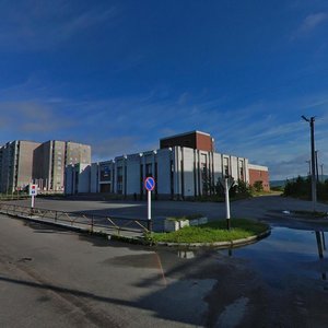 Zaschitnikov Zapolyarya Avenue, No:7, Coca: Fotoğraflar