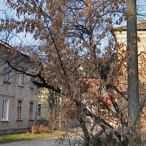 Vulytsia Hryhoriia Kovbasiuka, No:1, Belaya Tserkov: Fotoğraflar