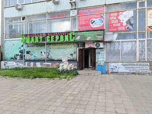 Vulytsia Petrovskoho, No:34, Antracit: Fotoğraflar