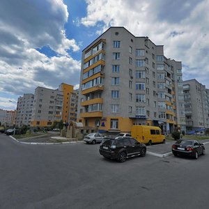 Vulytsia Akademika Yushchenka, No:8, Vinica: Fotoğraflar